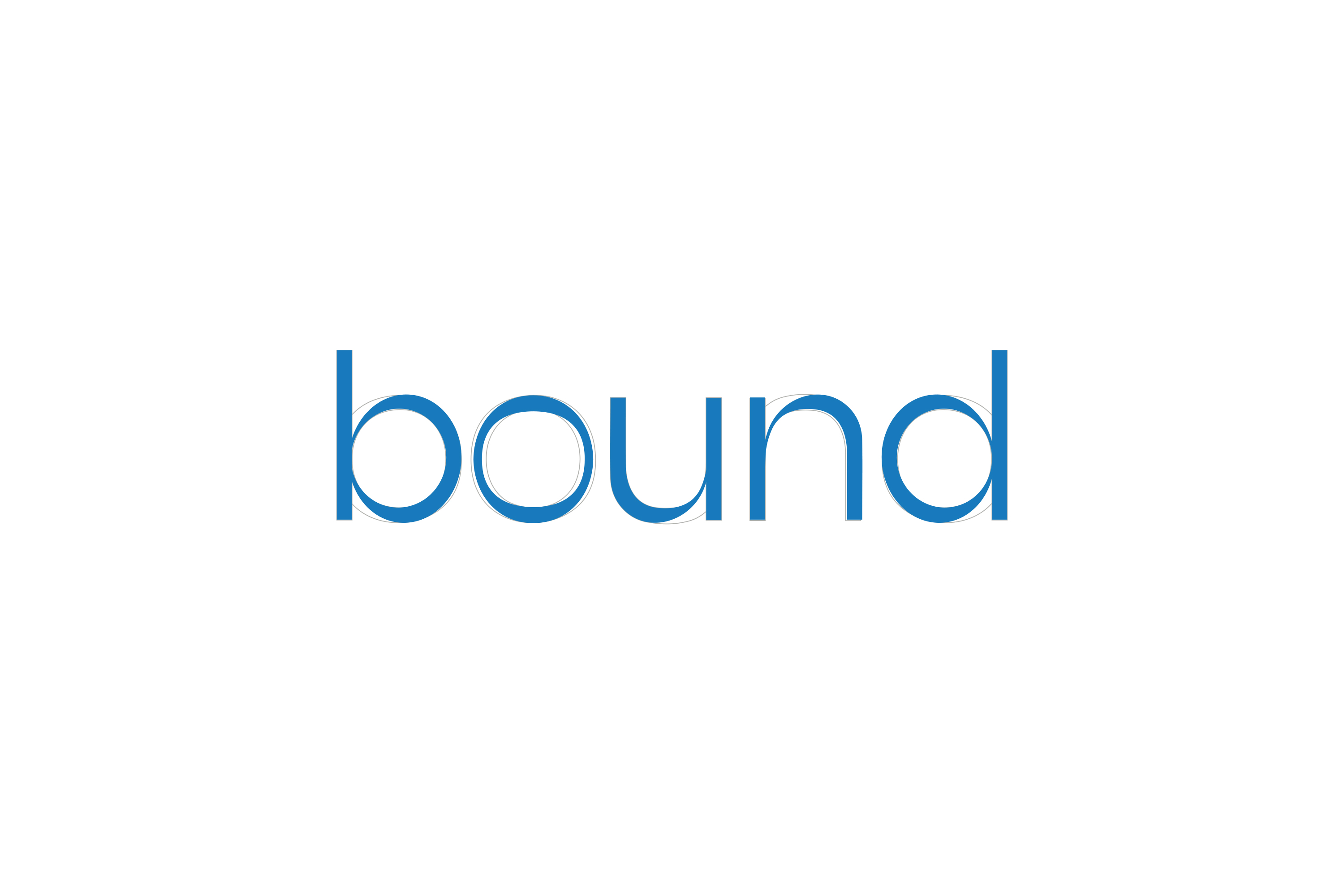 Bound – Brand – THE FIRST PENGUIN
